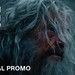 Add/Update Information: Movie - The Death of Robin Hood - 2026
